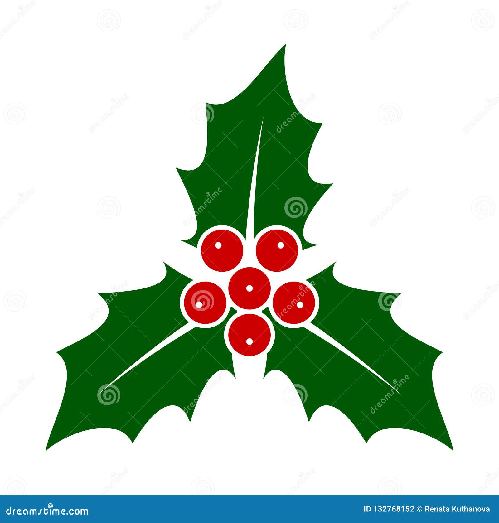 Holly stock vector. Illustration of decor, holiday, decoration - 132768152