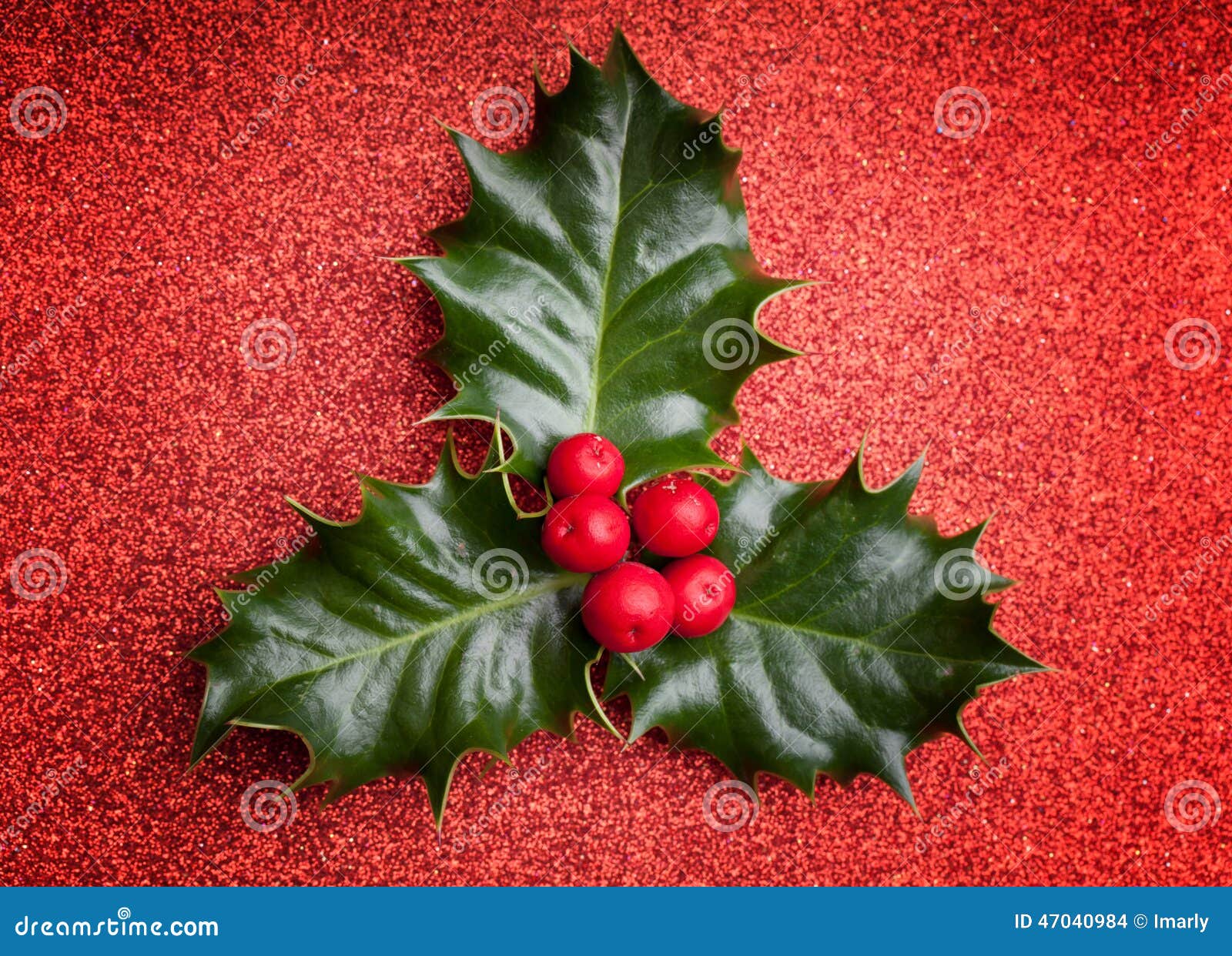 Christmas Holly Leaf with Red Berries Stock Photo - Image of green ...