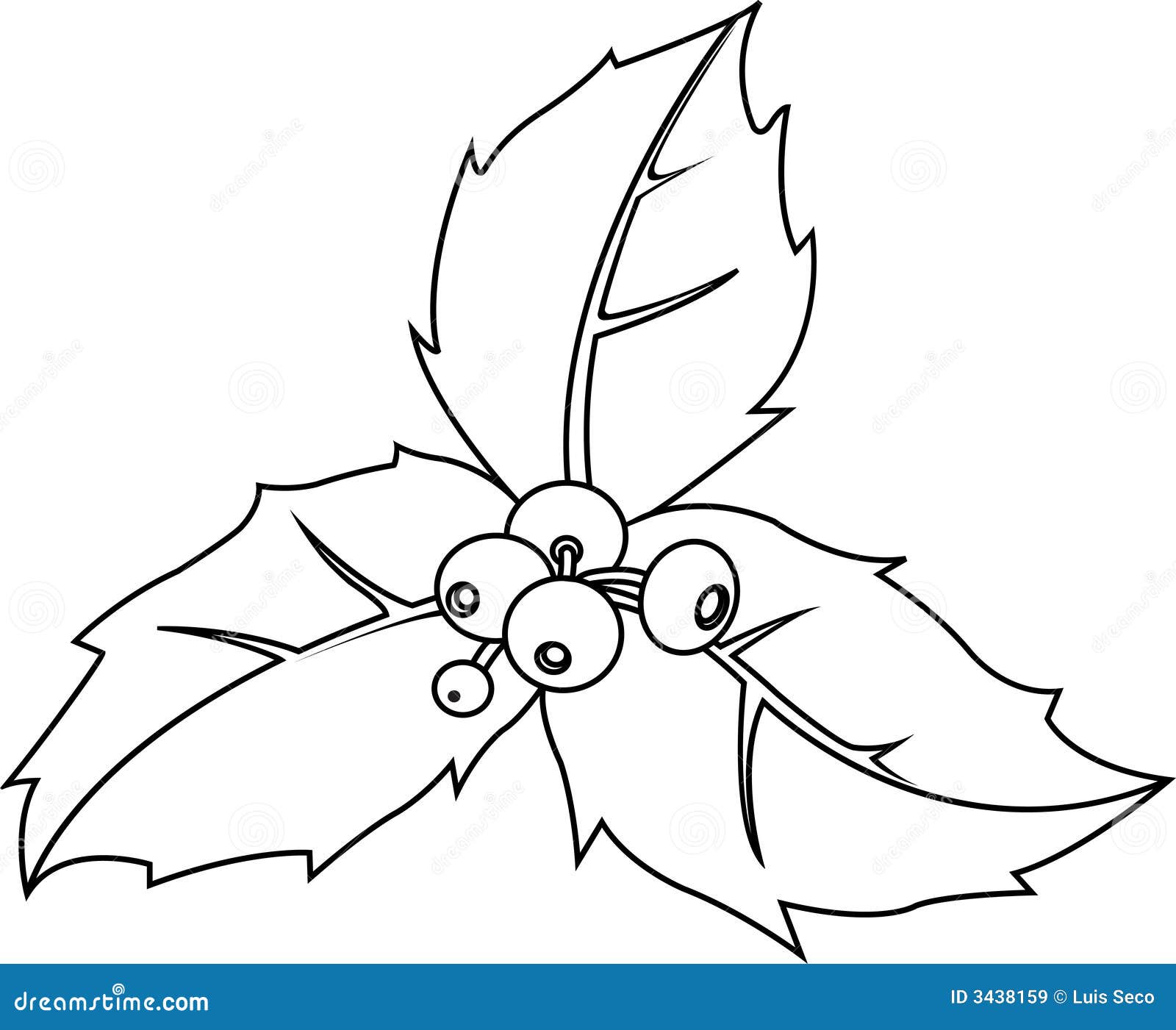 Christmas holly sprig stock vector. Illustration of xmas - 3438159