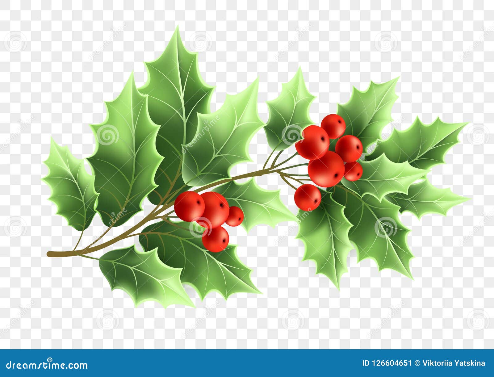 Christmas Holly Tree Branch Realistic Illustration Stock Vector ... Christmas Holly Tree Branch Realistic Illustration Stock Vector ...