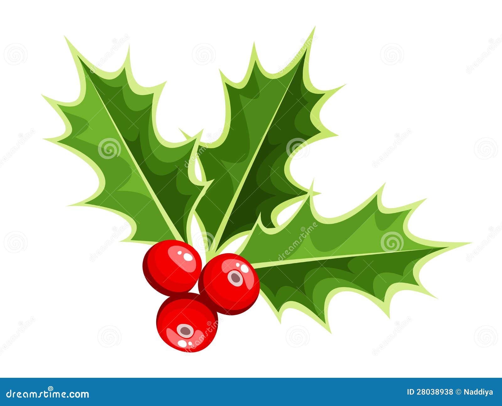 Christmas Holly. Vector Illustration. Stock Illustration - Illustration ...