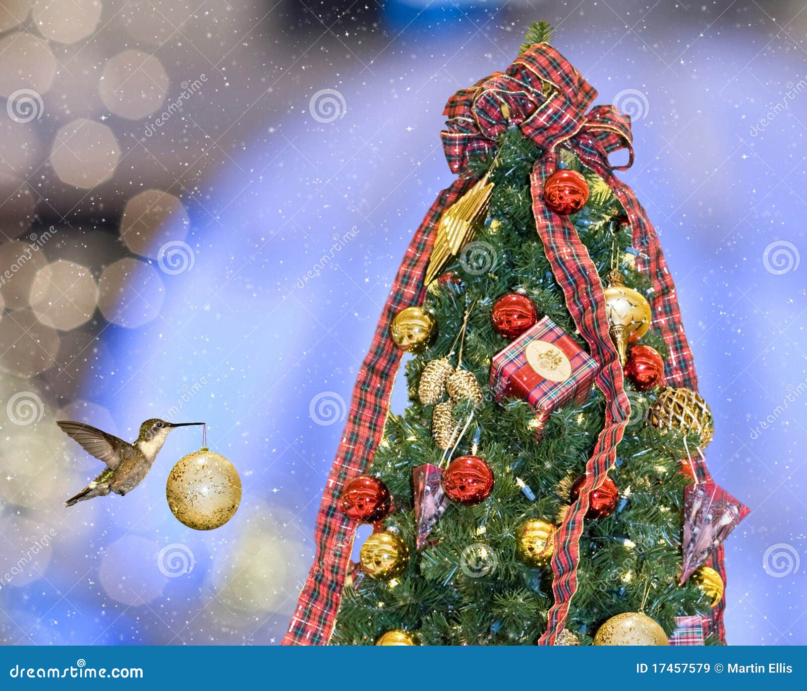 Christmas Hummingbird stock image. Image of ornament - 17457579