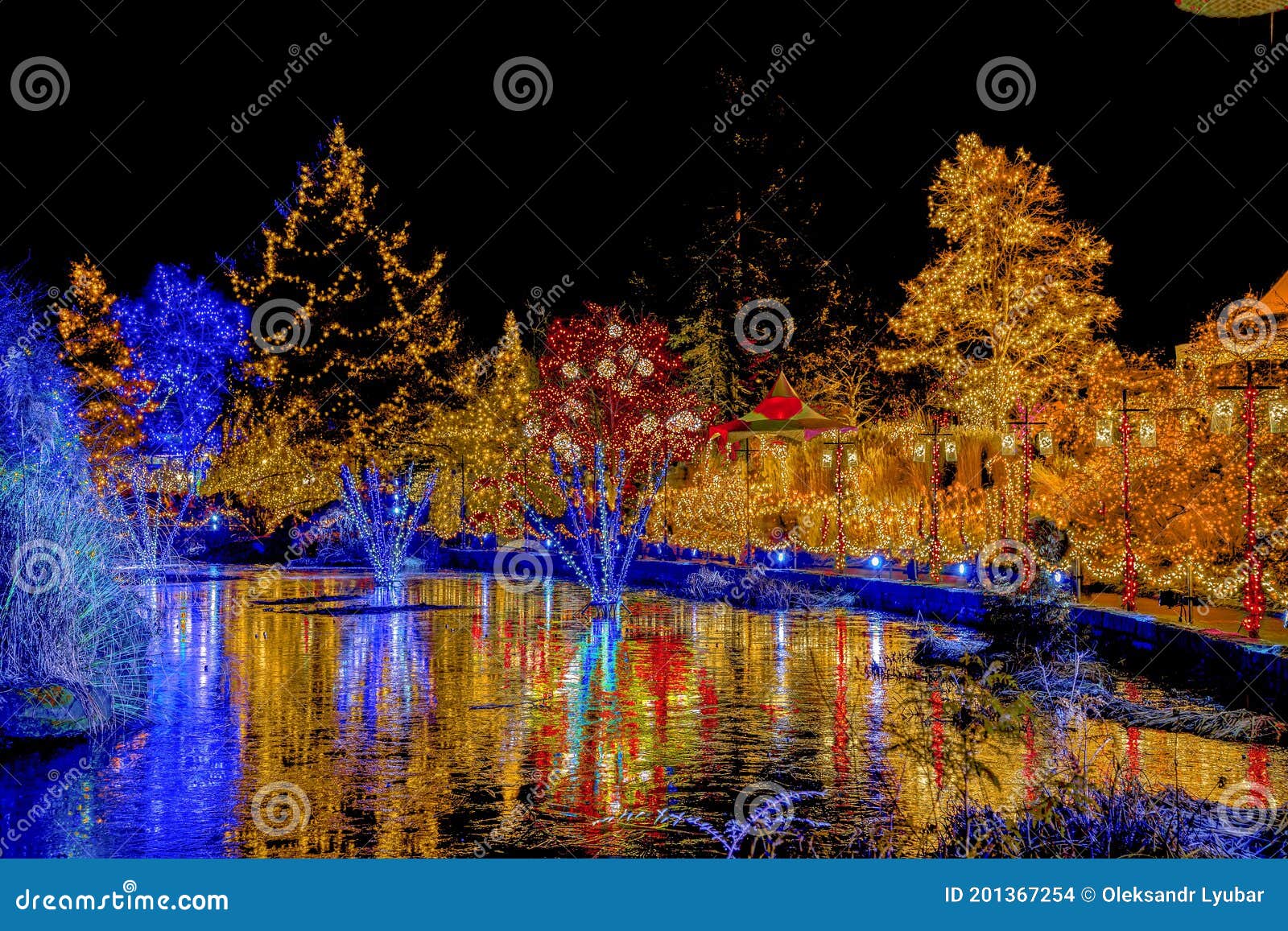 Christmas Illuminations in the Garden Stock Photo - Image of cold ...