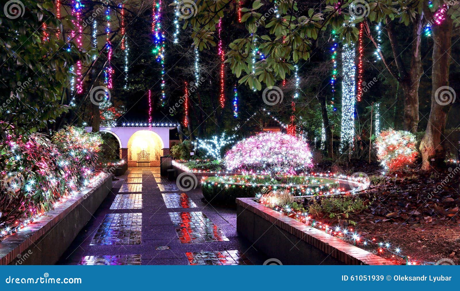 Christmas Illuminations in the Park Stock Image - Image of outdoors ...