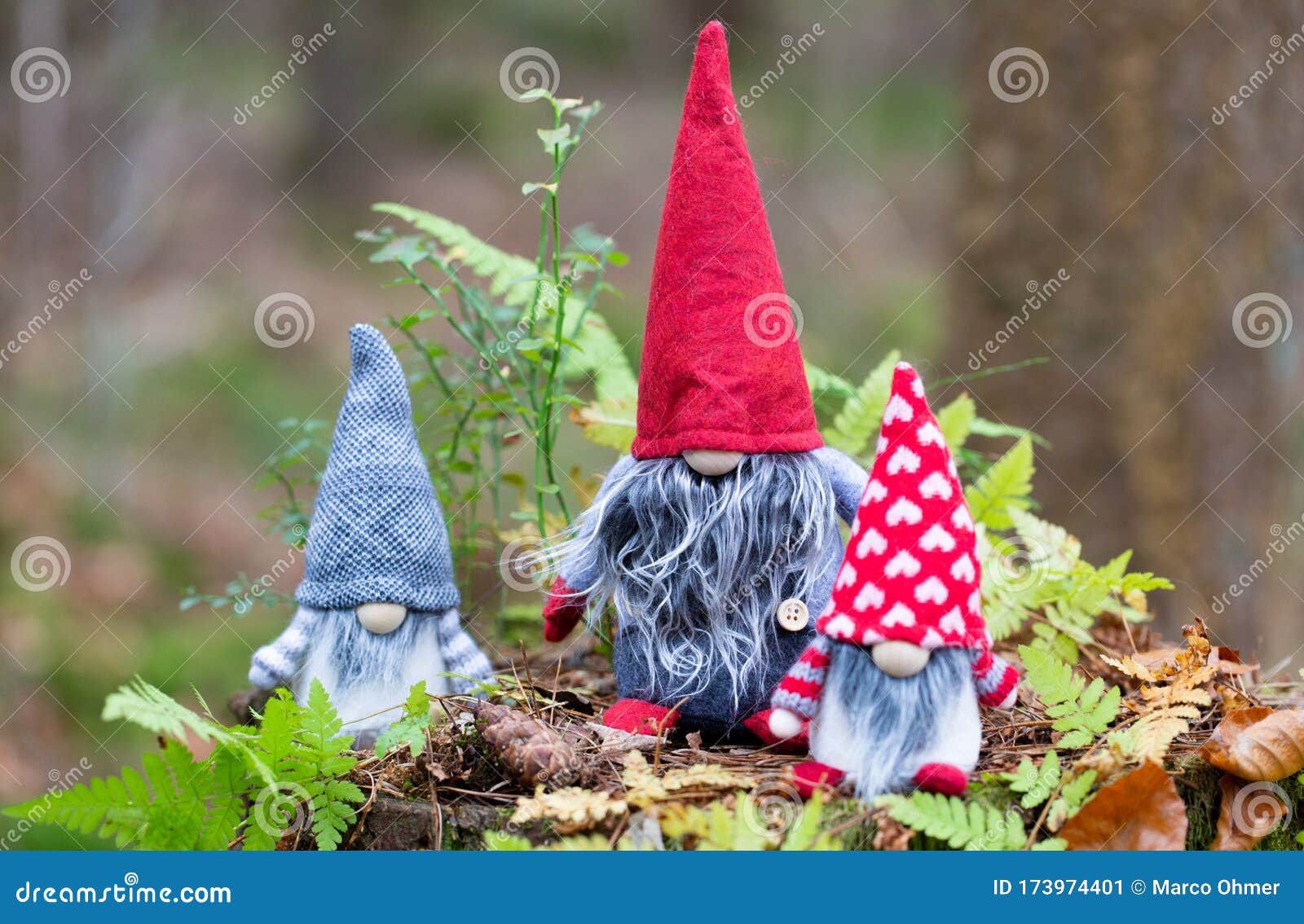 Christmas Imp in the Forest Stock Image - Image of christmas, gnome ...