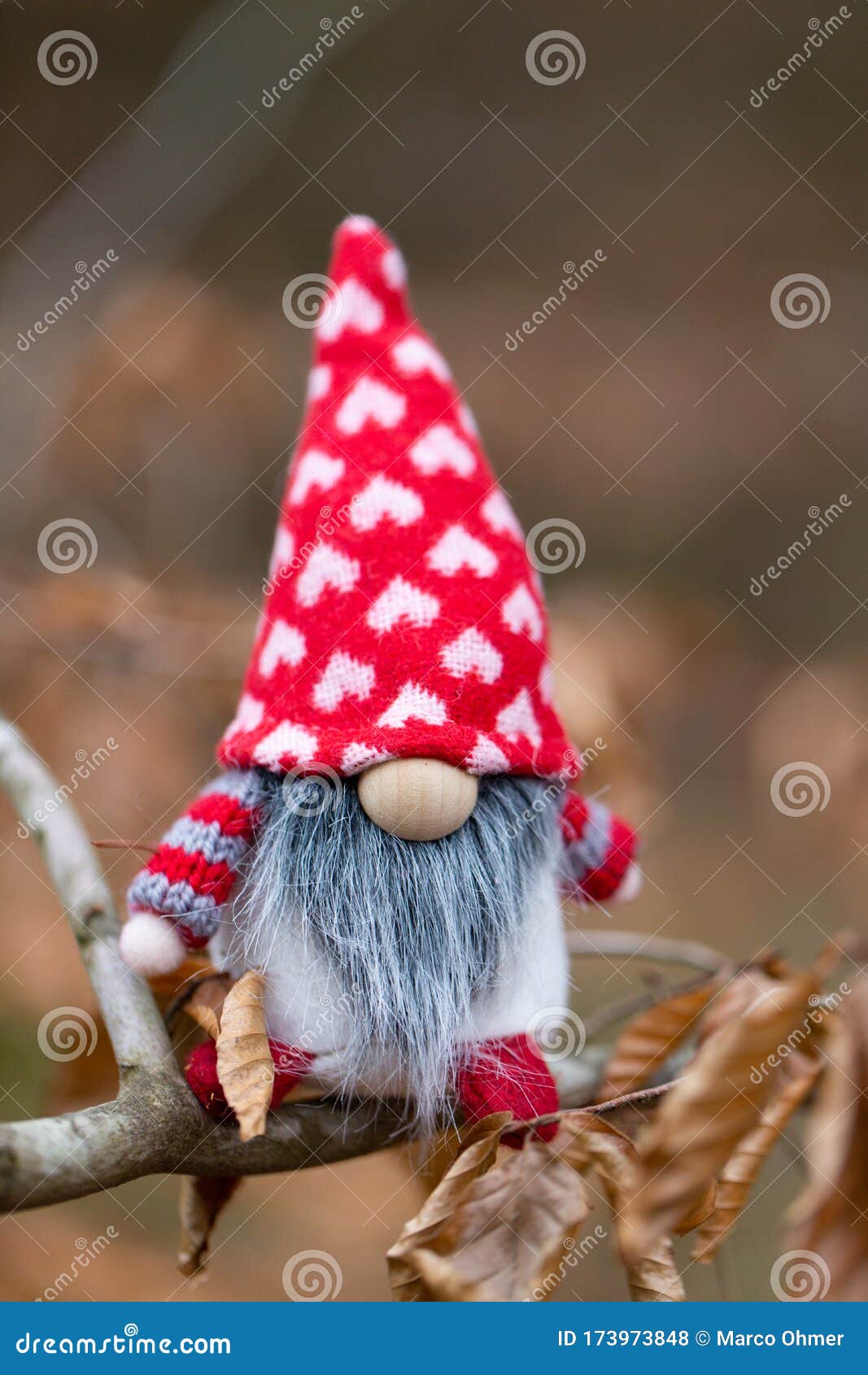 Christmas Imp in the Forest Stock Photo - Image of time, decorations ...