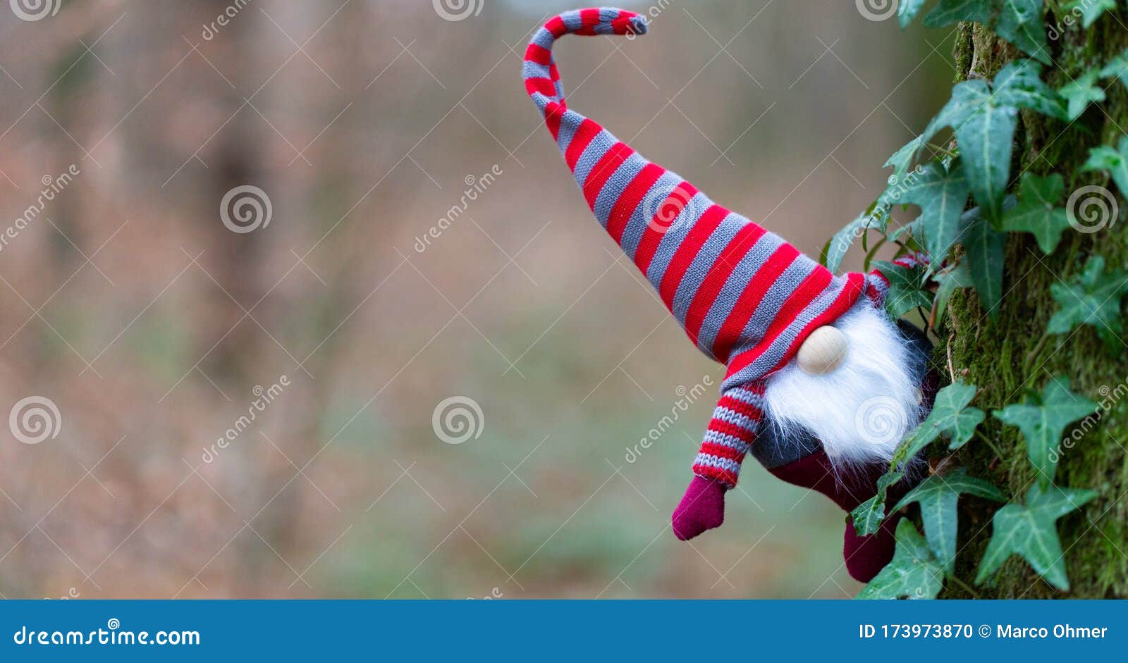 Christmas Imp in the Forest Stock Photo - Image of decor, holiday ...