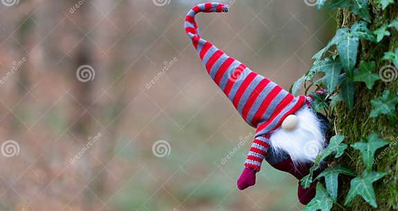 Christmas Imp in the Forest Stock Photo - Image of decor, holiday ...