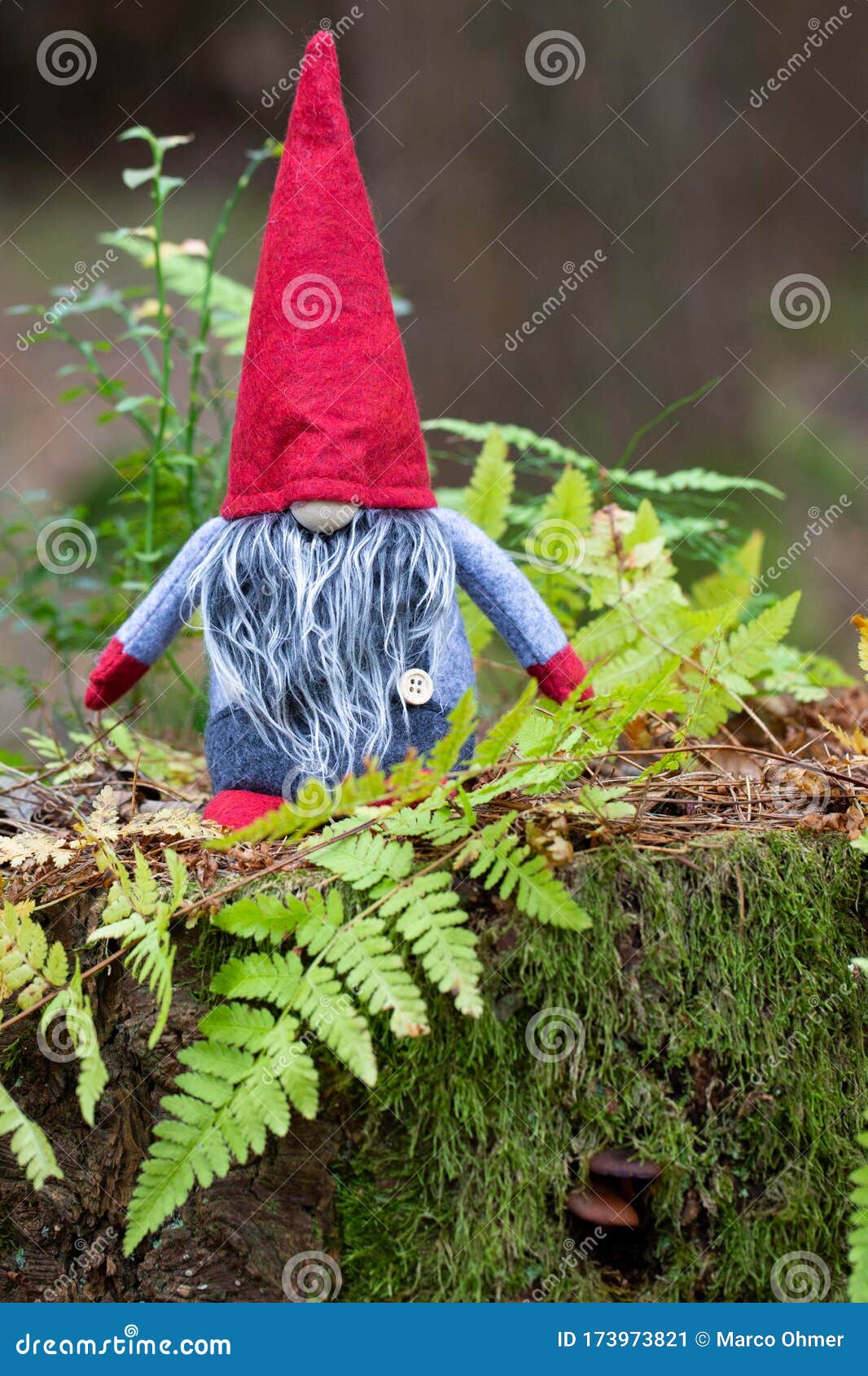 Christmas Imp in the Forest Stock Image - Image of seasonal, holiday ...