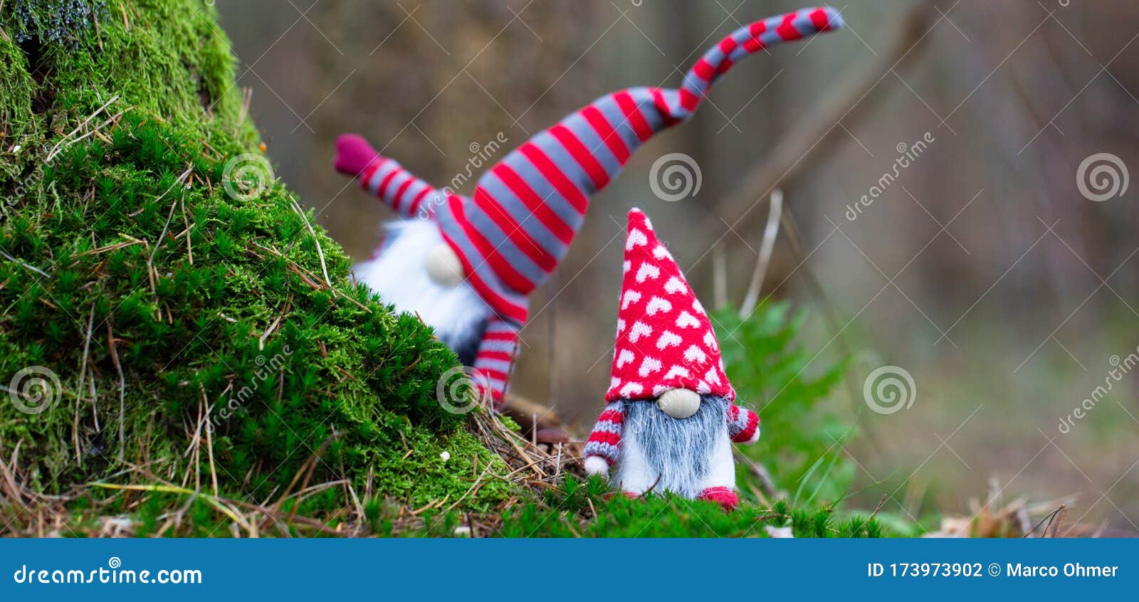 Christmas Imp in the Forest Stock Photo - Image of forest, merry: 173973902