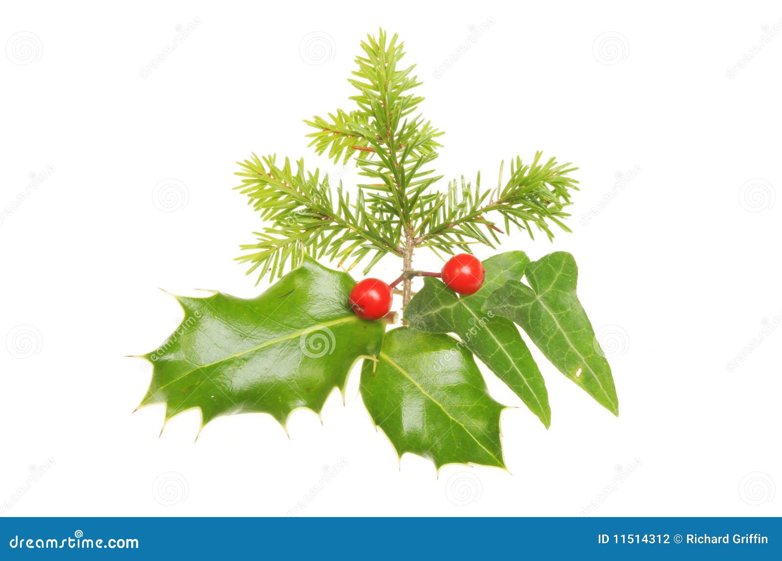 Christmas leaf motif stock photo. Image of christmas - 11514312