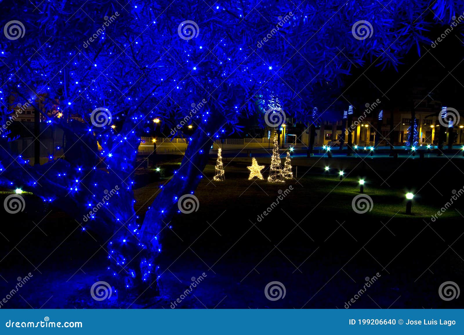 Trees Decorated with Blue Lighting at Christmas Time Stock Photo ...