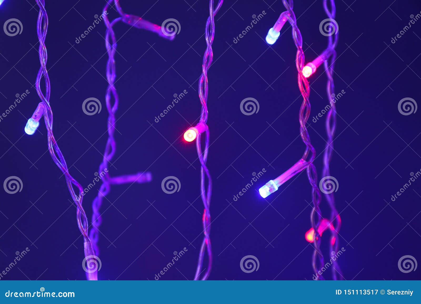 Christmas Lights on Color Background Stock Image - Image of holiday ...