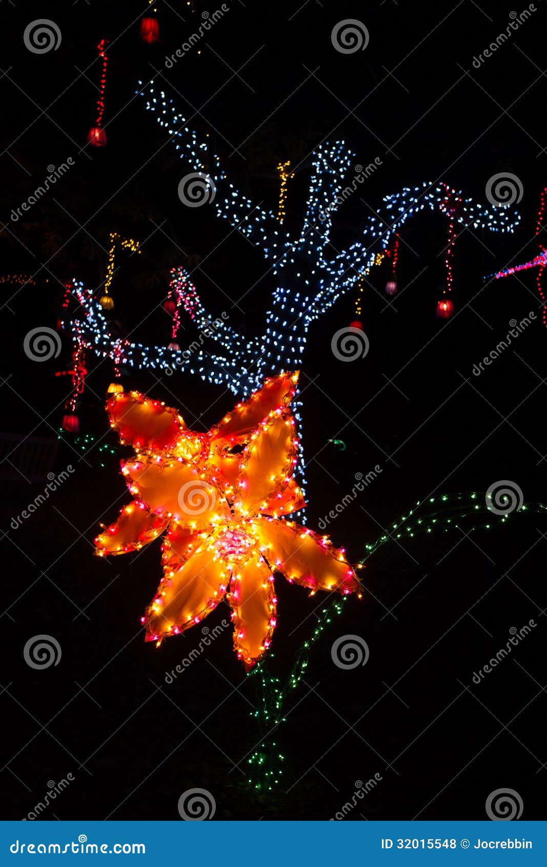 Christmas Lights Form a Garden of Flowers Stock Photo - Image of ...