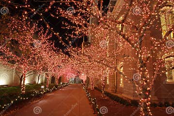 Christmas Lights in the Night Stock Image - Image of path, numerous ...