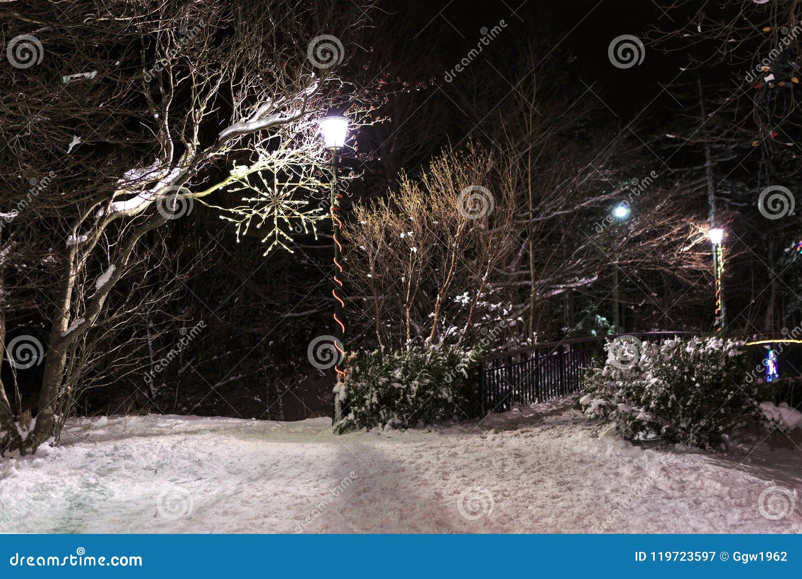 Christmas in a park stock image. Image of decorations - 119723597