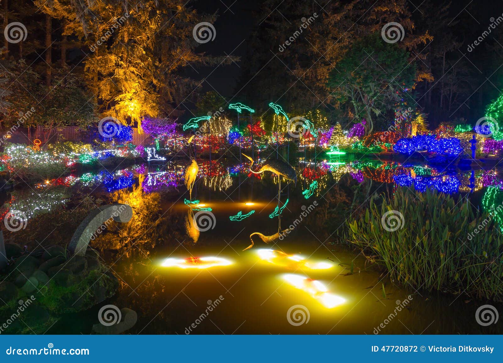 Christmas Lights Reflection Stock Photo - Image of decoration, festival ...