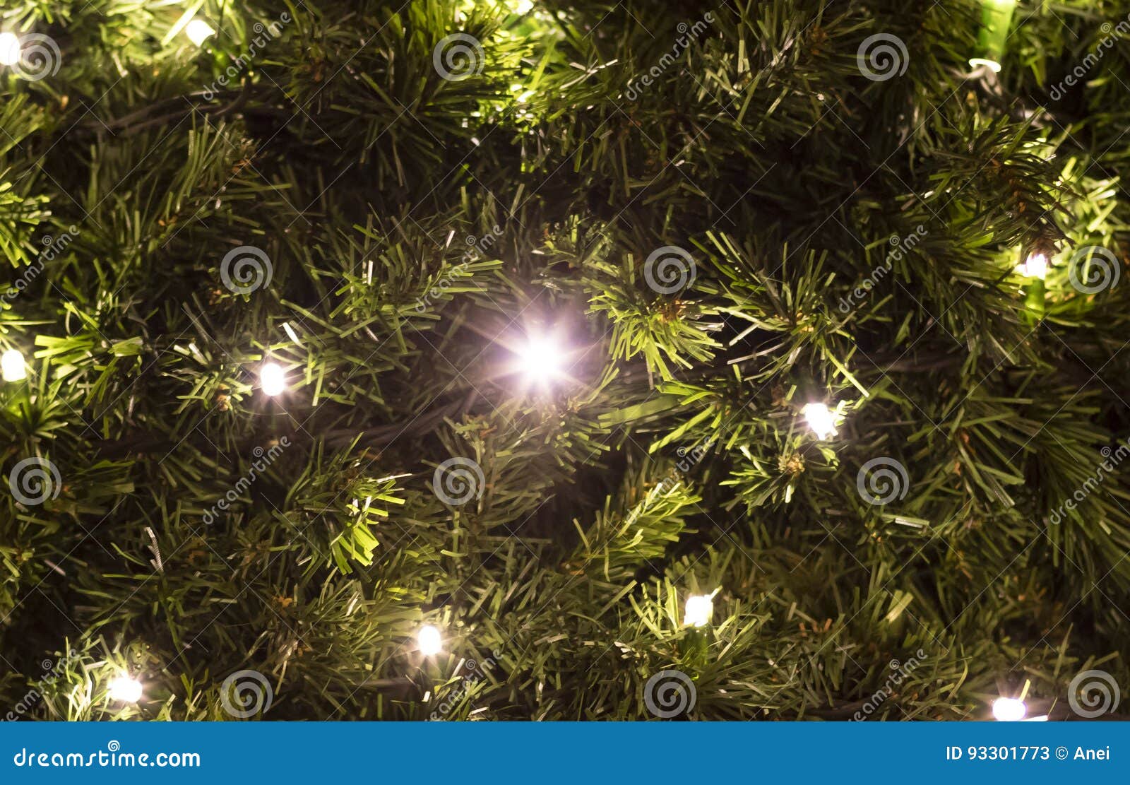 14,209 Evergreen Lights Tree Stock Photos - Free & Royalty-Free Stock ...