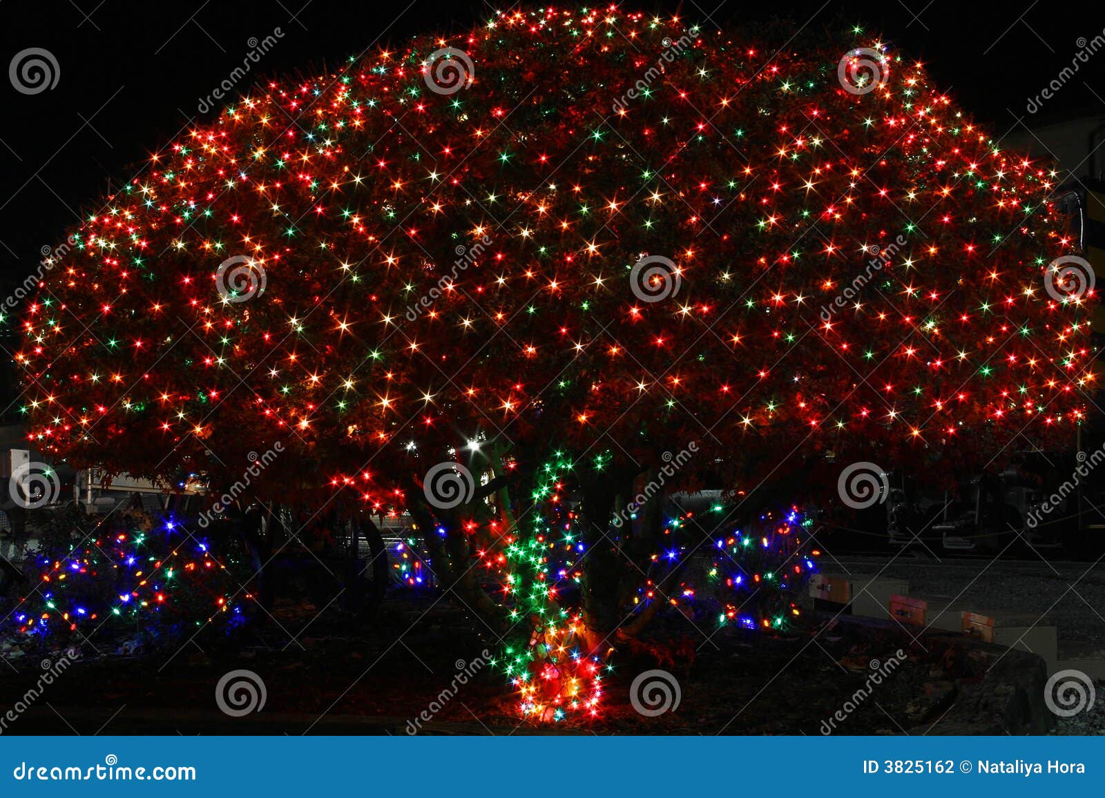 24,862 Urban Tree Lights Stock Photos - Free & Royalty-Free Stock ...