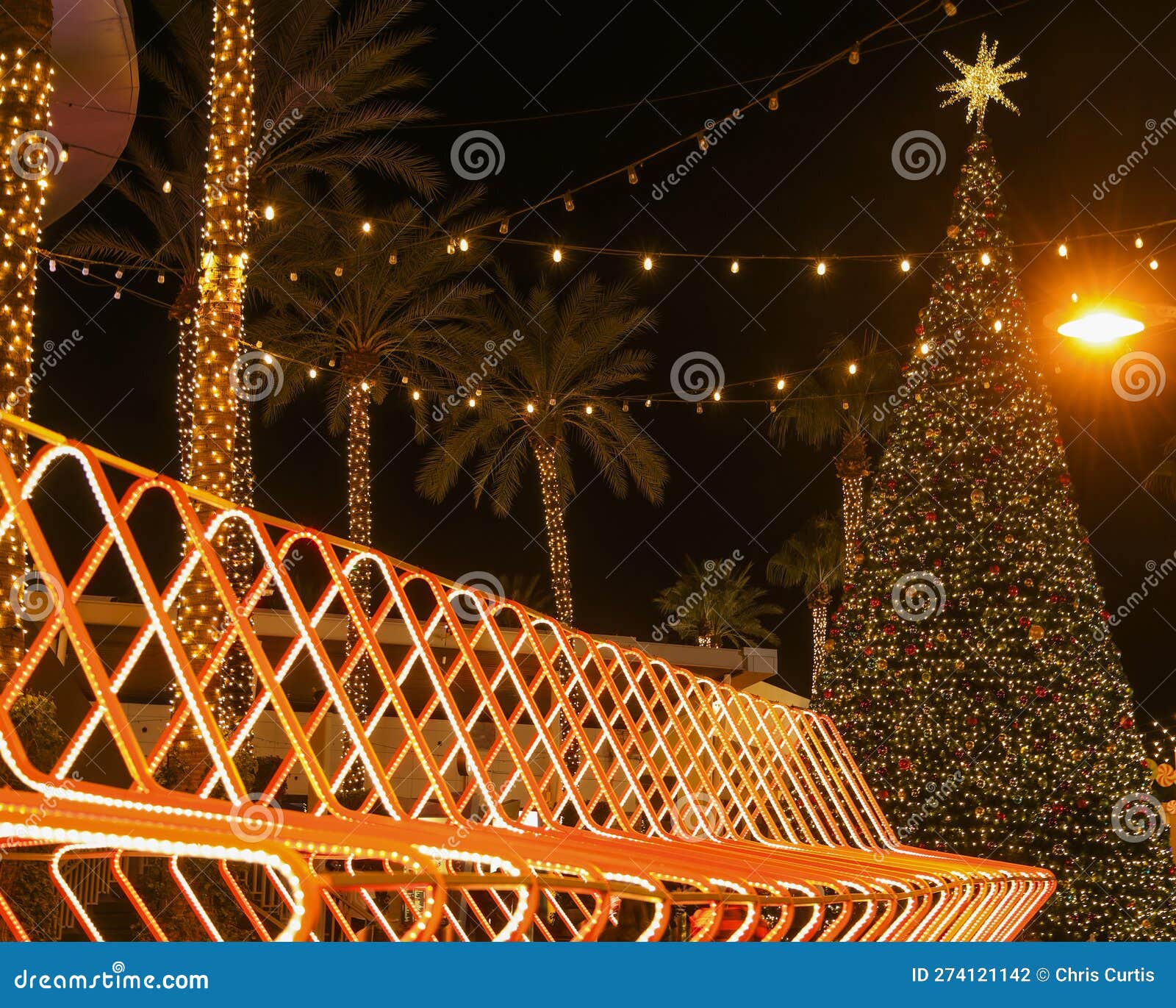 Christmas Lights and Christmas Tree Stock Photo - Image of palm ...