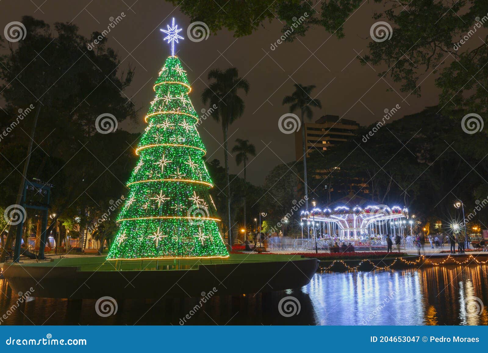 Christmas Lights and Christmas Trees. Editorial Photography - Image of ...