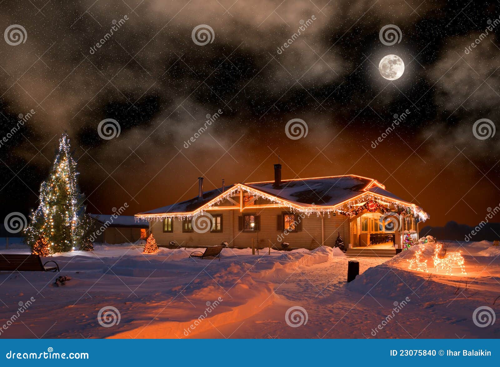 Christmas night stock photo. Image of dramatic, lights - 23075840