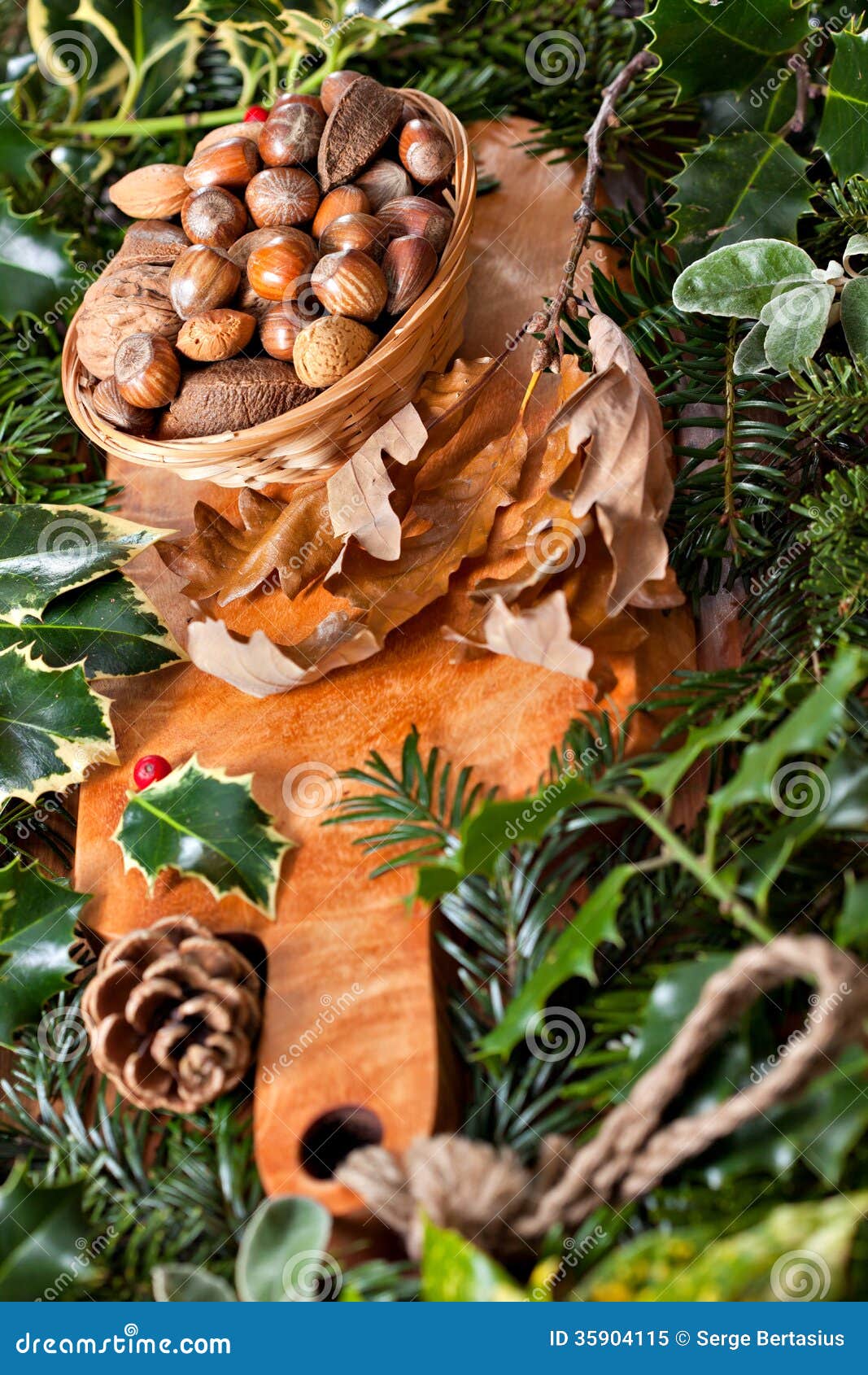 Christmas nuts stock image. Image of xmas, holly, decoration - 35904115