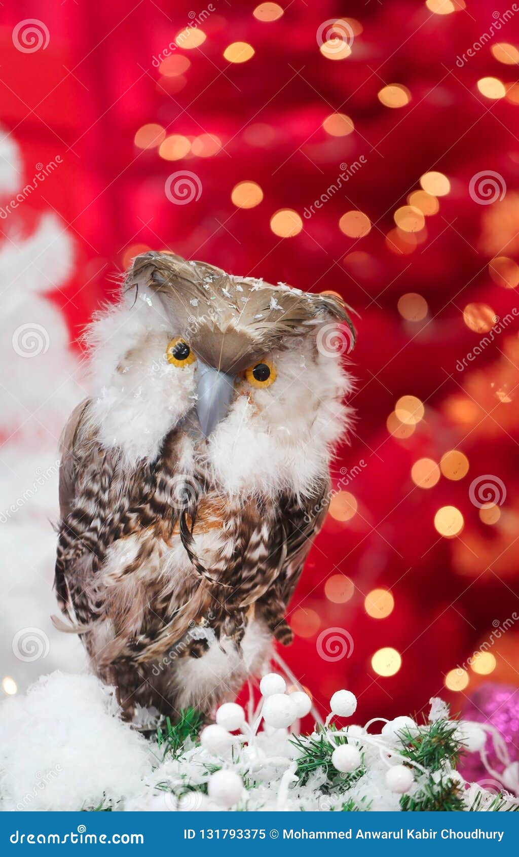 Christmas Owl Decorated for Stock Image - Image of wildlife, bird ...