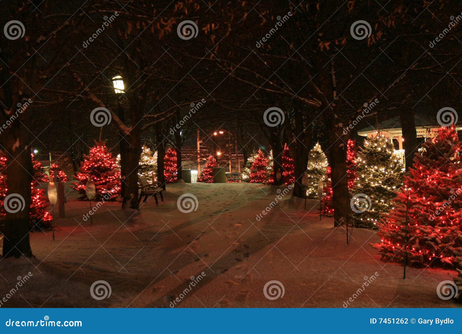 Christmas in the Park stock photo. Image of snow, footprints - 7451262