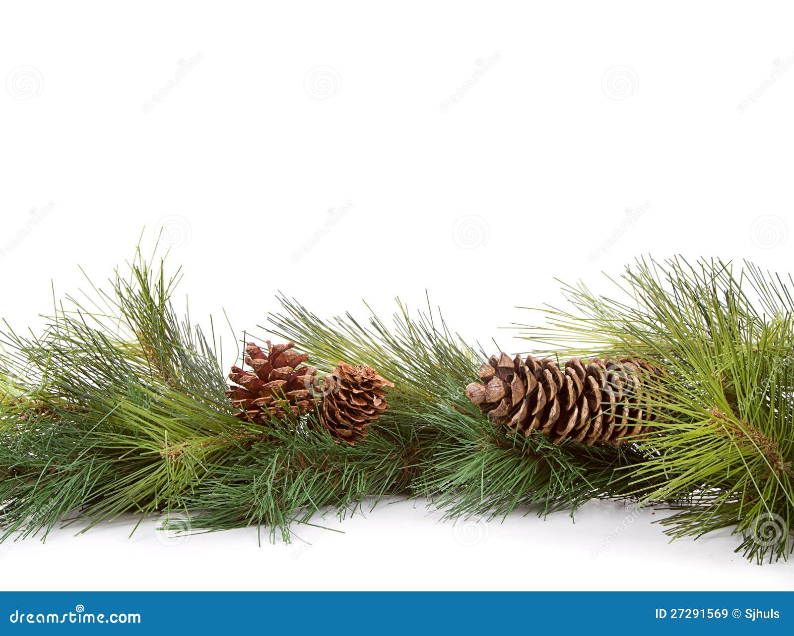 Christmas pine branches stock image. Image of decoration - 27291569