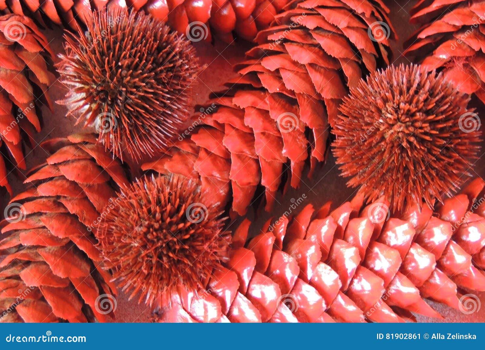 Christmas Pine Cones Big Red Stock Image - Image of outdoor ...