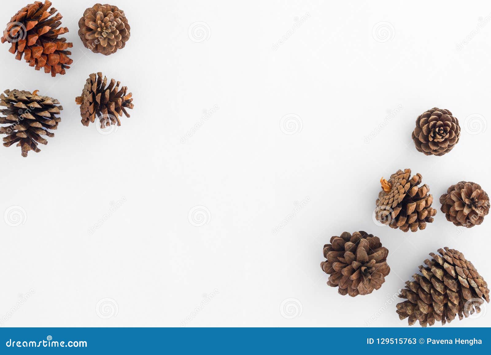 Christmas Pine Cones on White Paper Border Composition. Stock Image ...