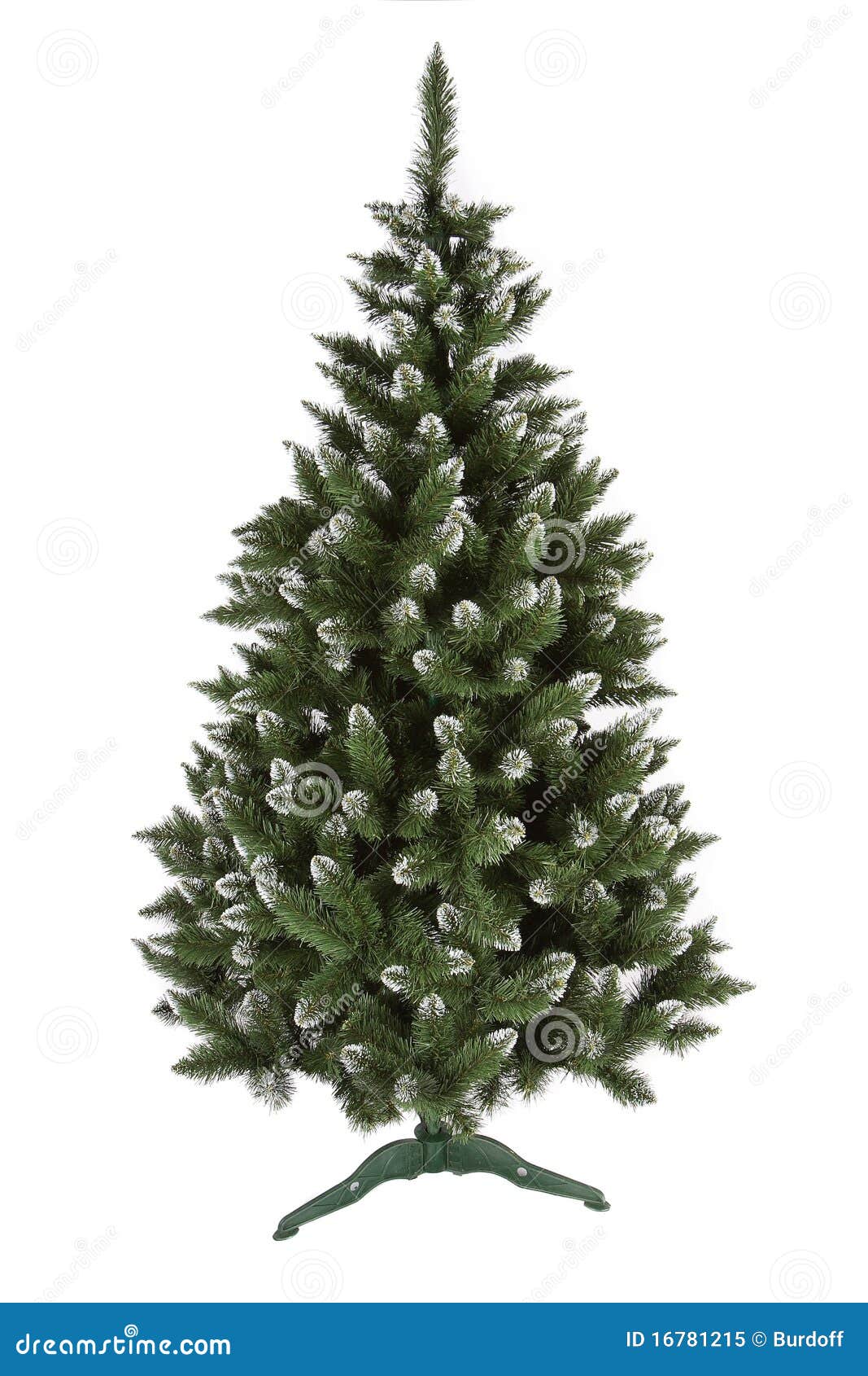Christmas Pine Tree Isolated on White Background Stock Image - Image of ...