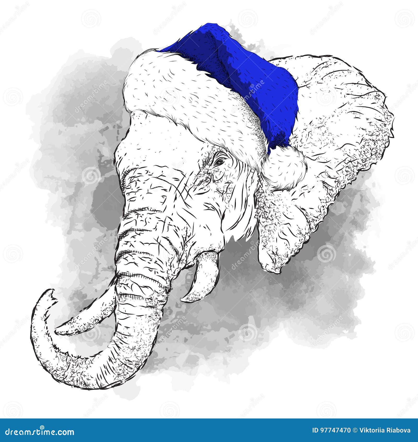 X-ray Image Of An Elephant Skeleton, Showing The Detailed Bone ...