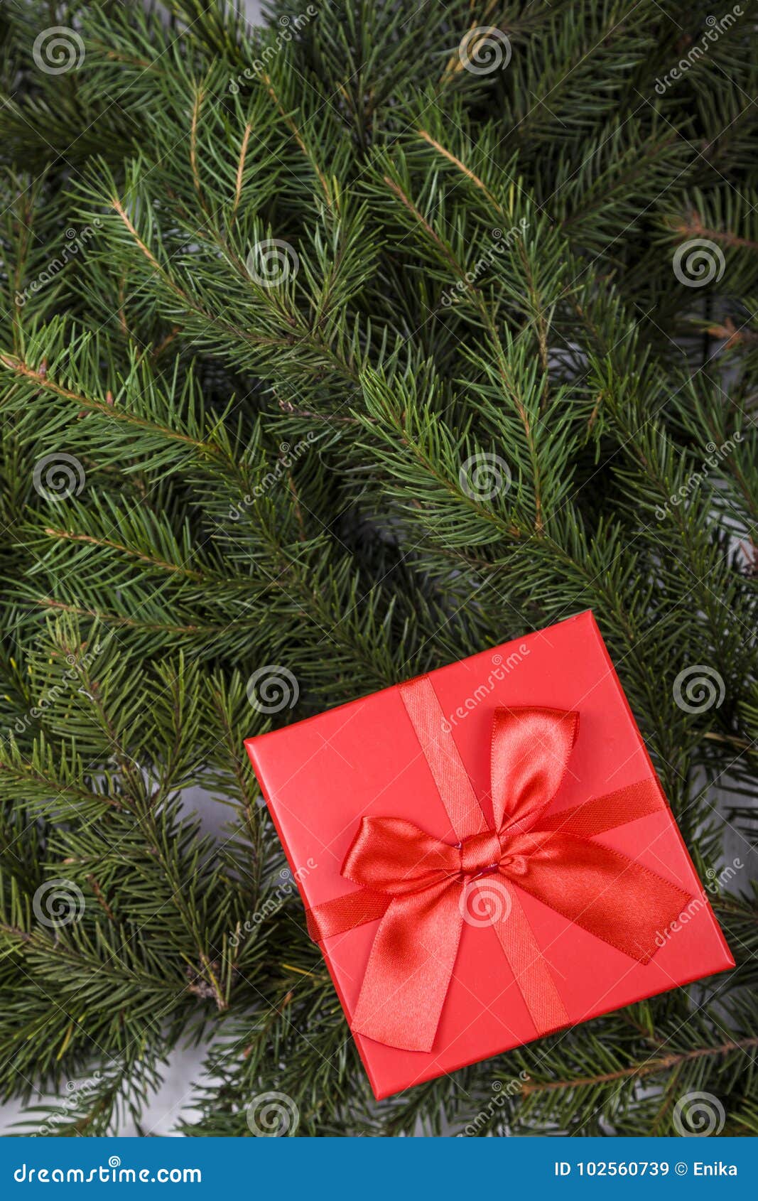 Christmas Present Close-up. Stock Image - Image of concept, celebration ...