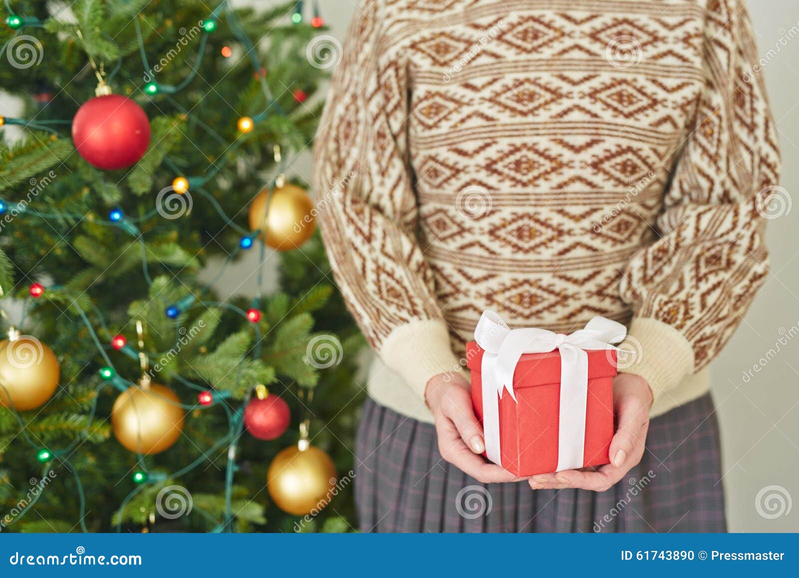 Christmas present in hands stock photo. Image of wrapped - 61743890