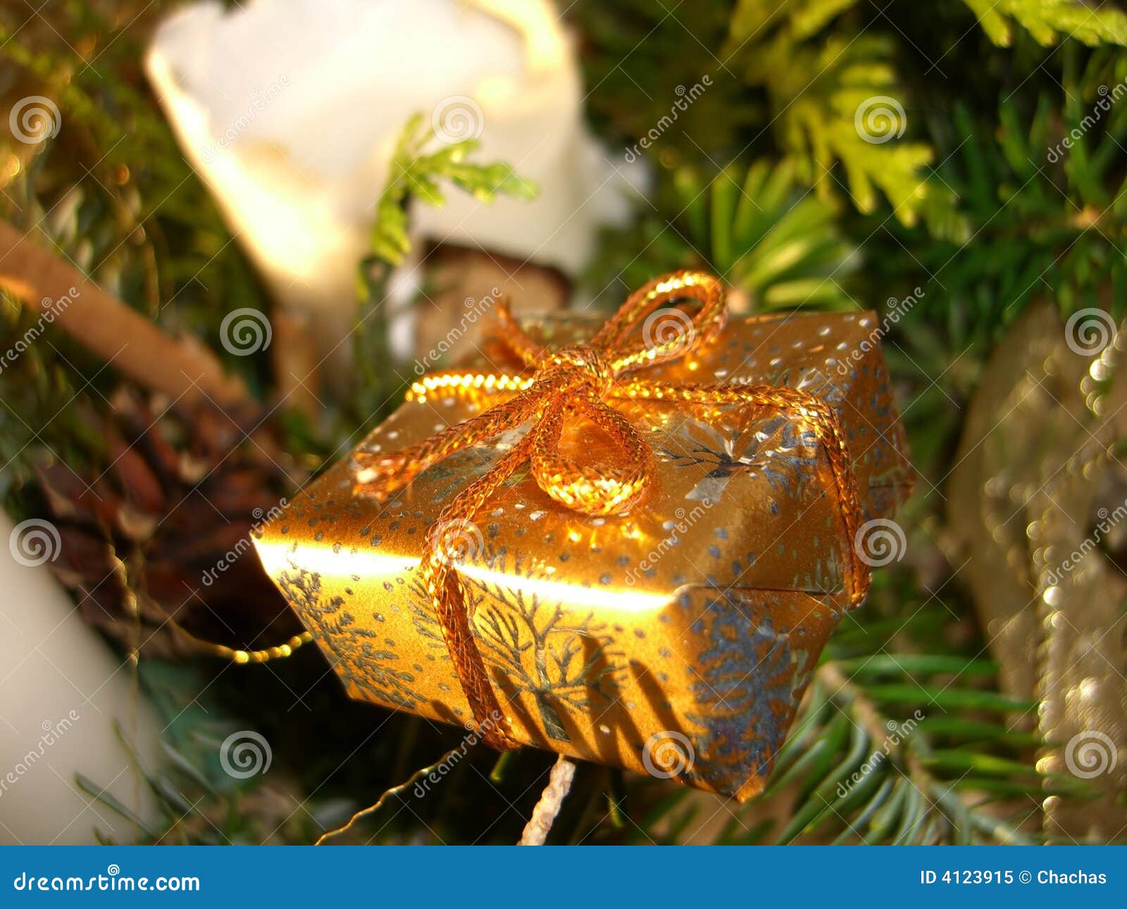 Christmas present in tree stock image. Image of boughs - 4123915