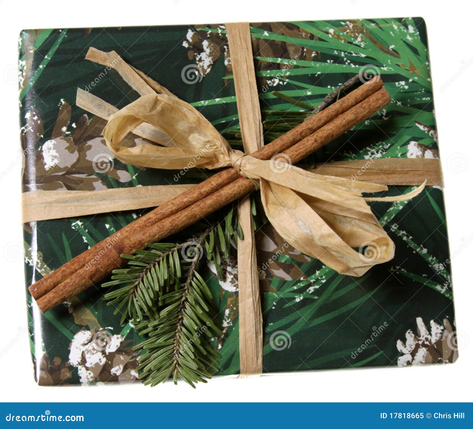 Christmas Present Wrapped with Green Stock Image - Image of isolated ...