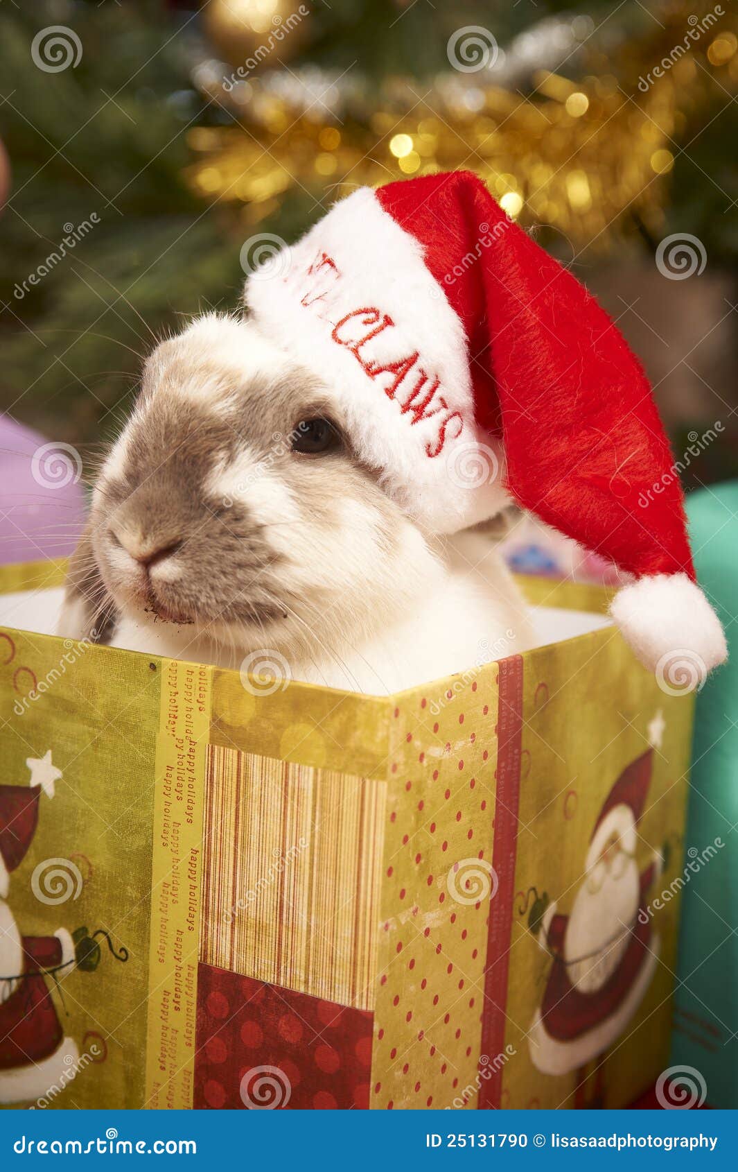 Christmas rabbit stock photo. Image of claus, merry, santa - 25131790