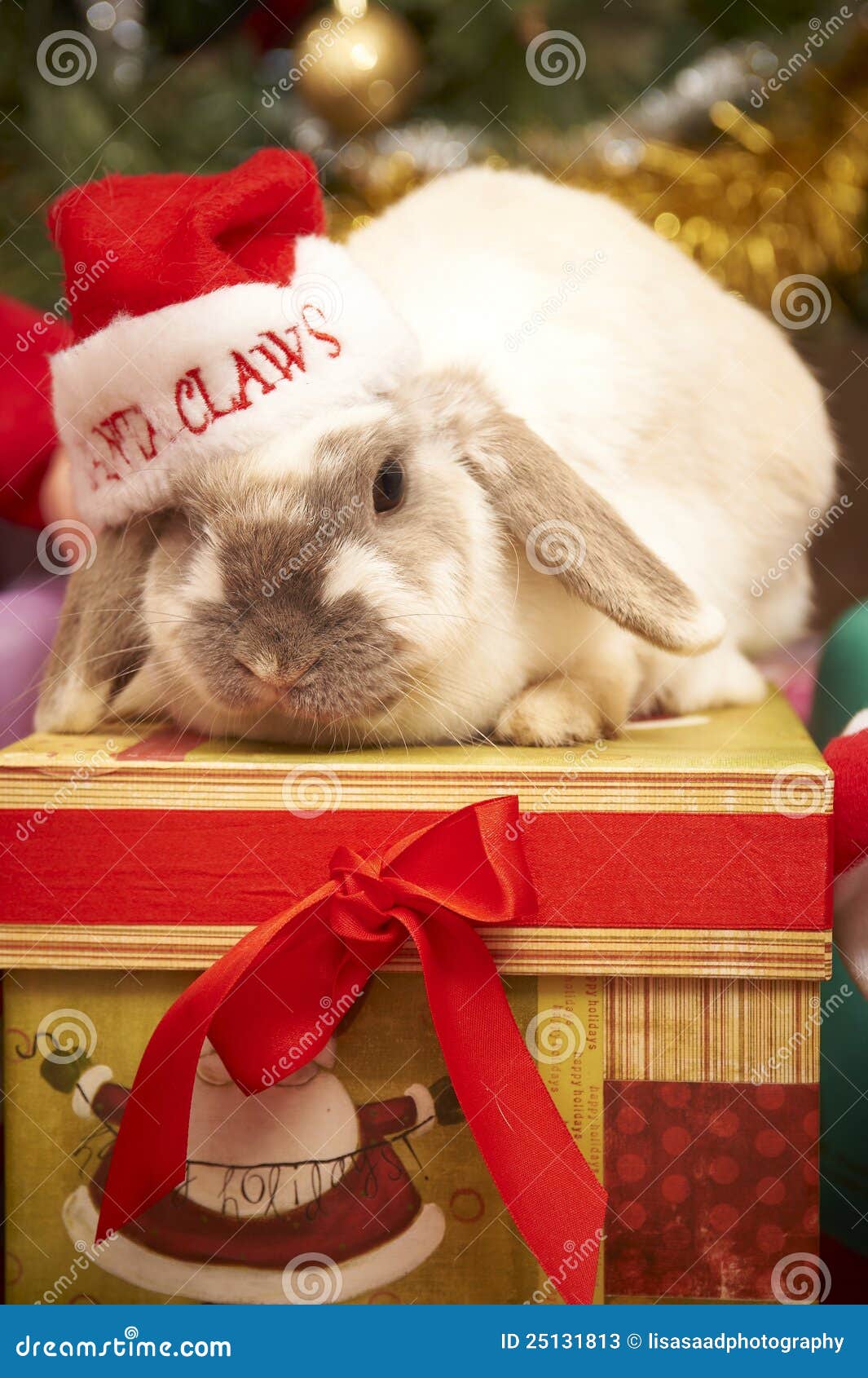 Christmas rabbit stock image. Image of claws, claus, christmas - 25131813