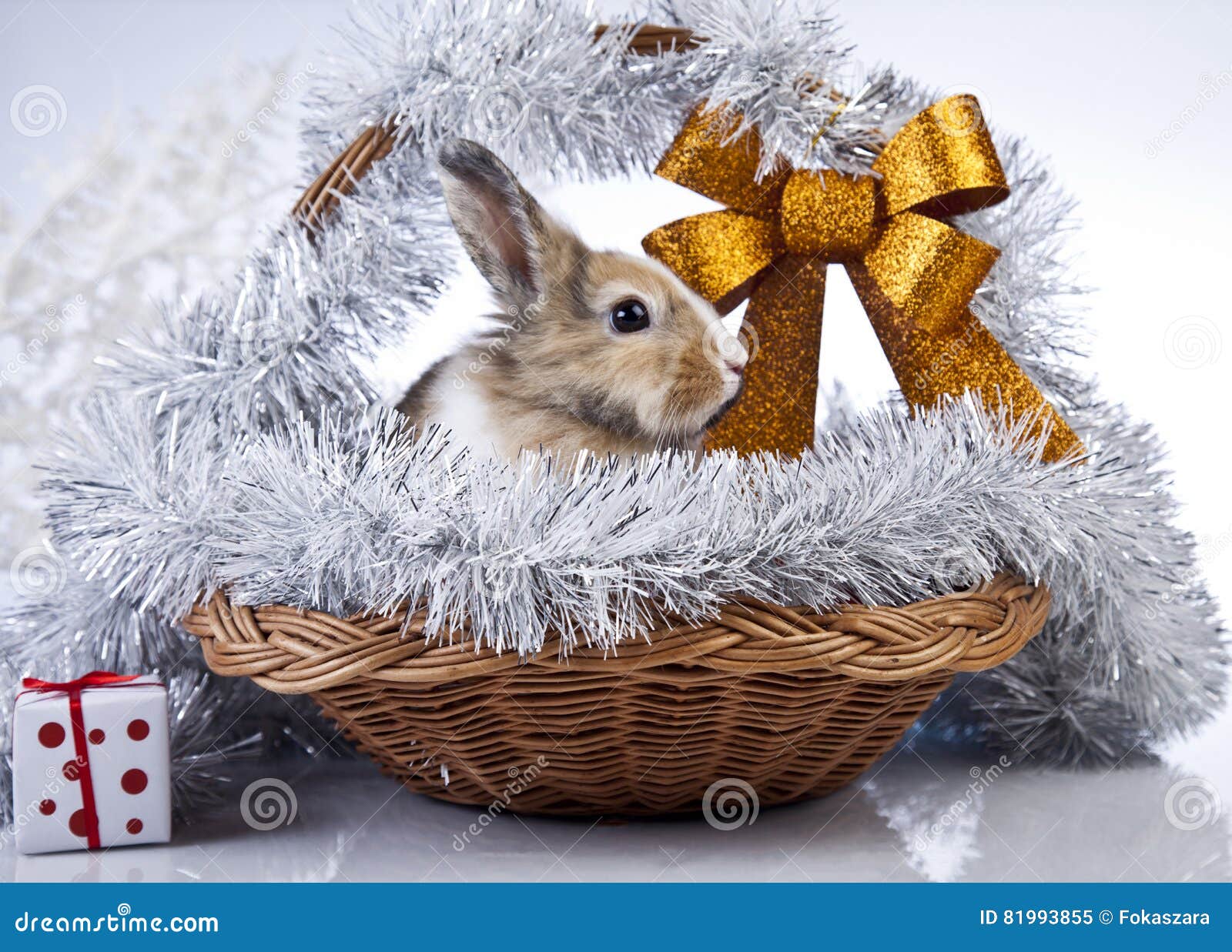 Christmas rabbit stock image. Image of gift, mustaches - 81993855