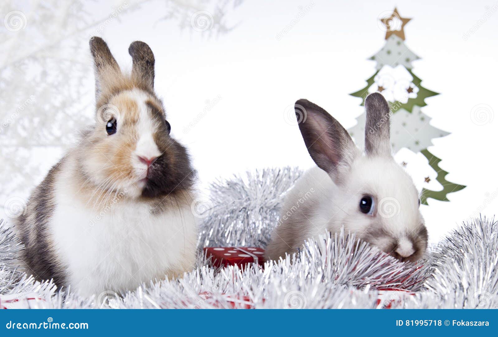 Christmas rabbit stock photo. Image of gift, ornament - 81995718