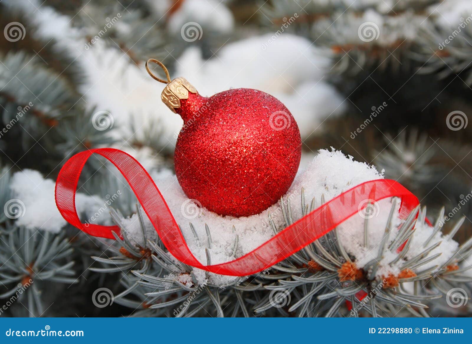Christmas Red Ball with Ribbon on Christmas Tree Stock Photo - Image of ...