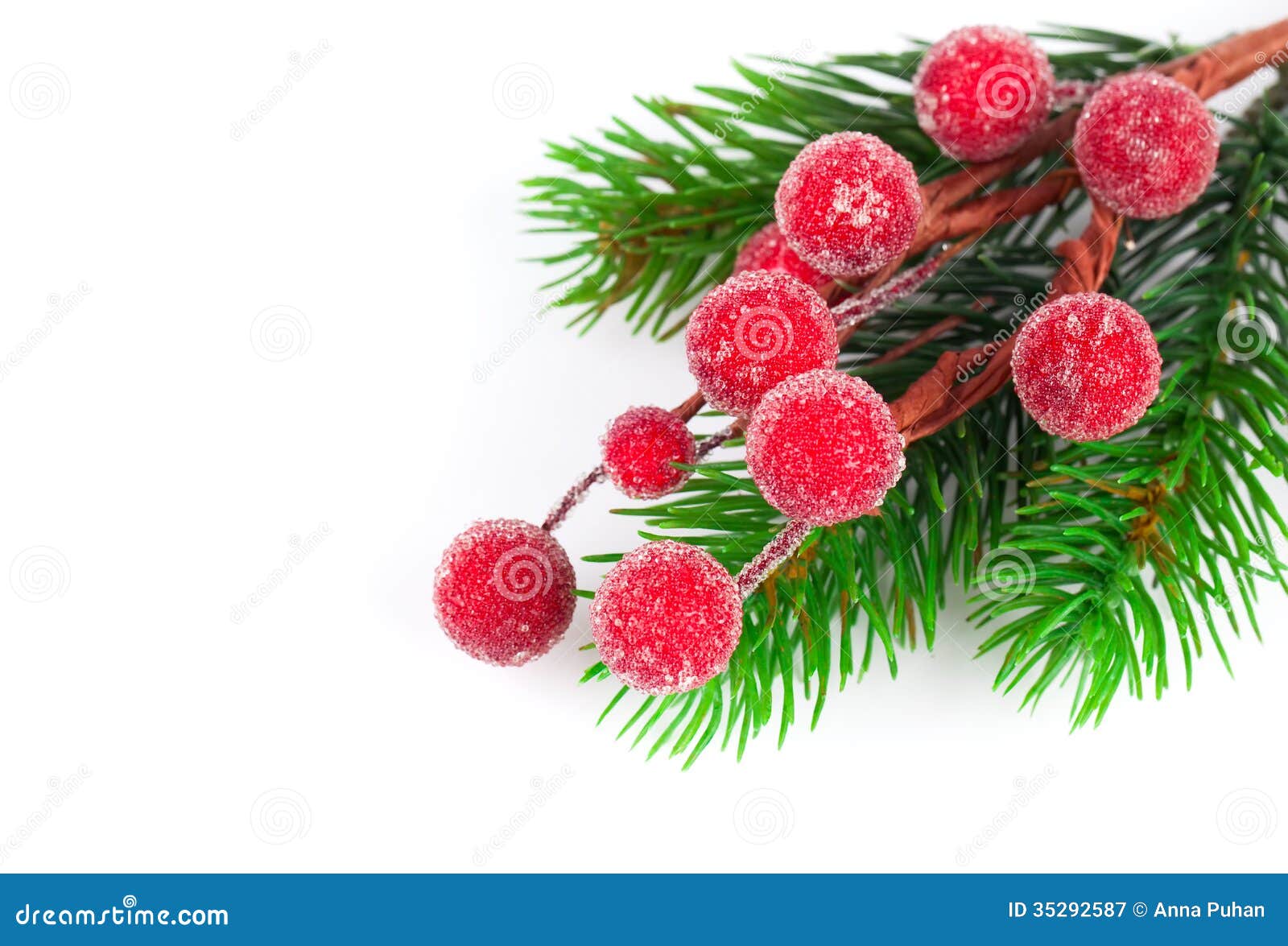 Christmas red berries stock image. Image of decorated - 35292587