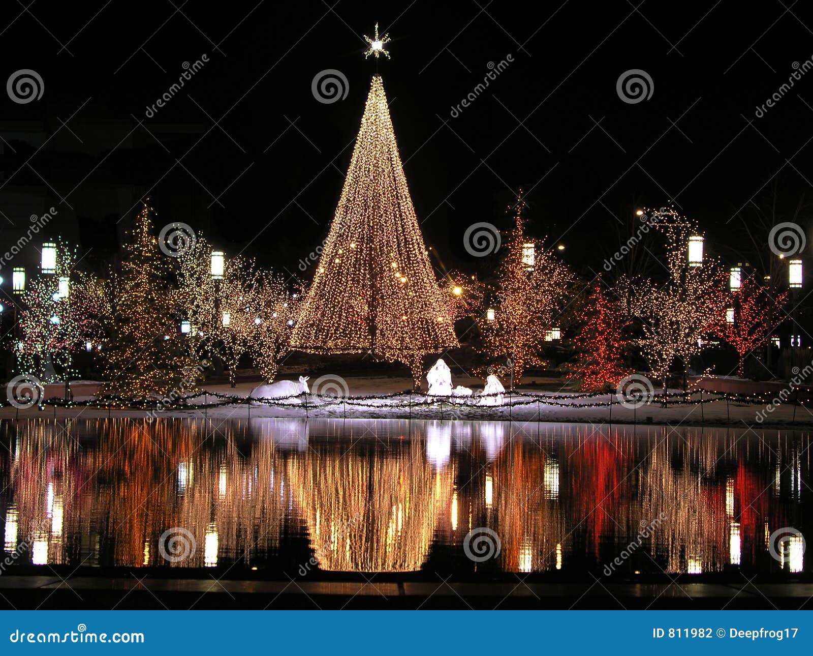 Christmas Reflection in the Night Stock Photo - Image of mary, birthday ...