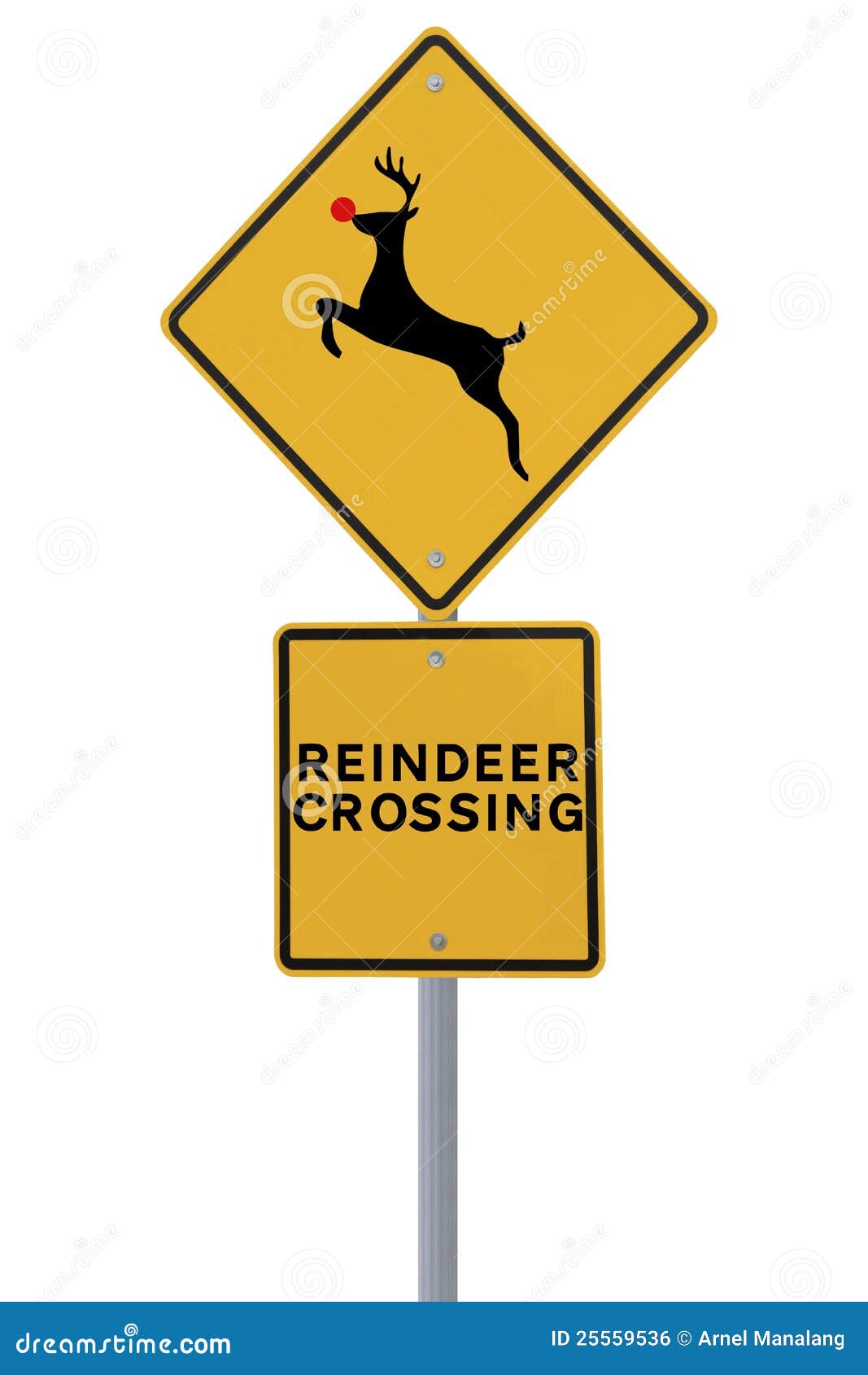 Christmas Reindeer Crossing Stock Photo - Image of nose, christmas ...