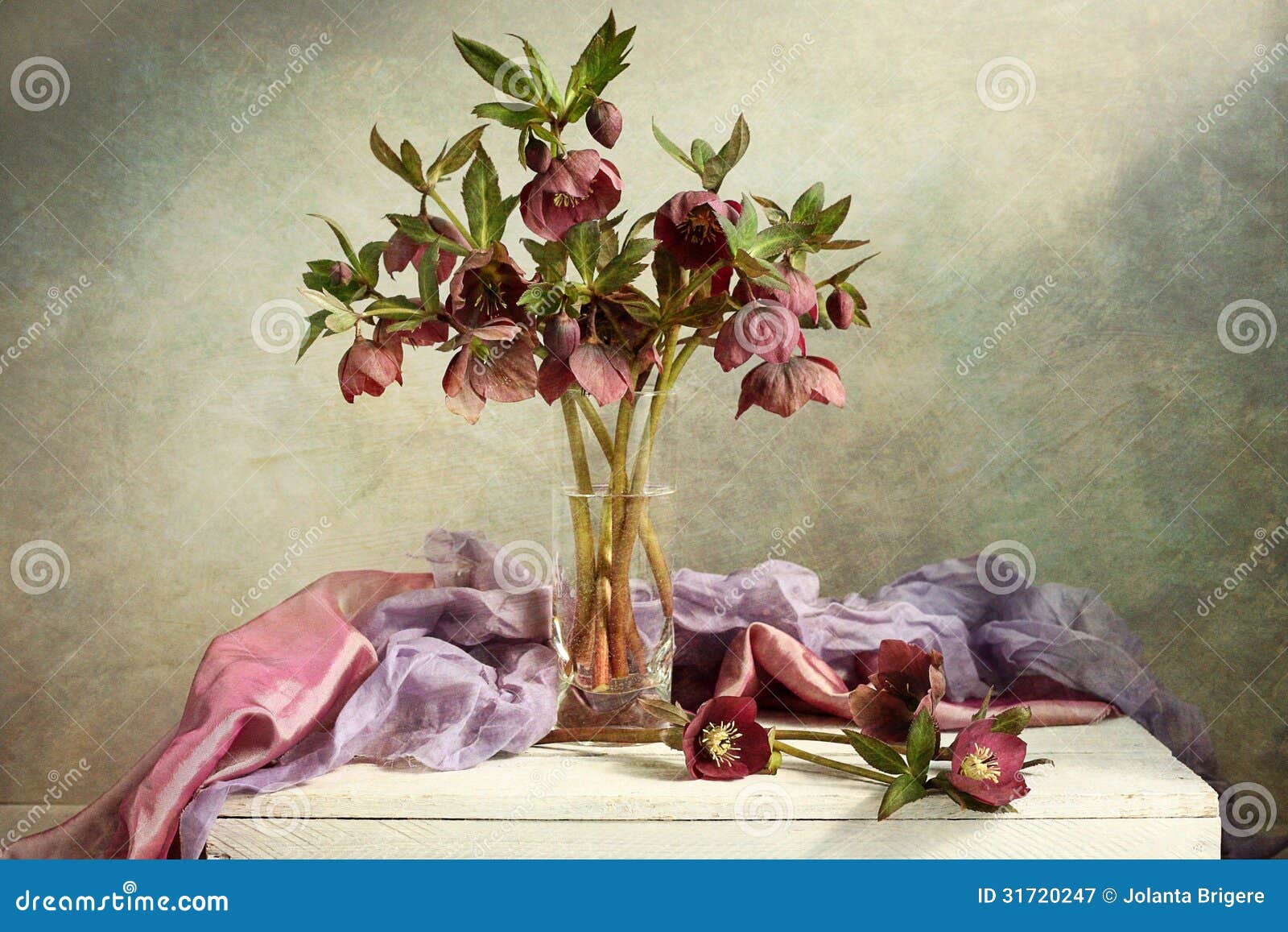 Christmas roses stock image. Image of bunch, herbaceous - 31720247