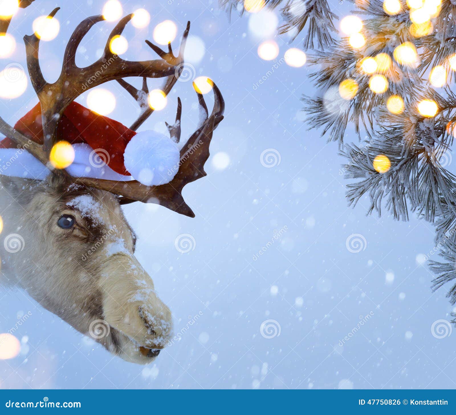 Christmas Santa Claus deer stock photo. Image of white - 47750826