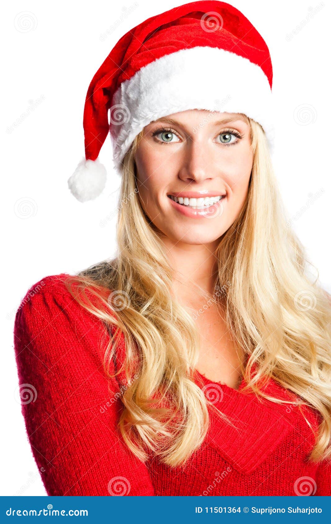 Christmas santa girl stock photo. Image of girl, celebrate - 11501364