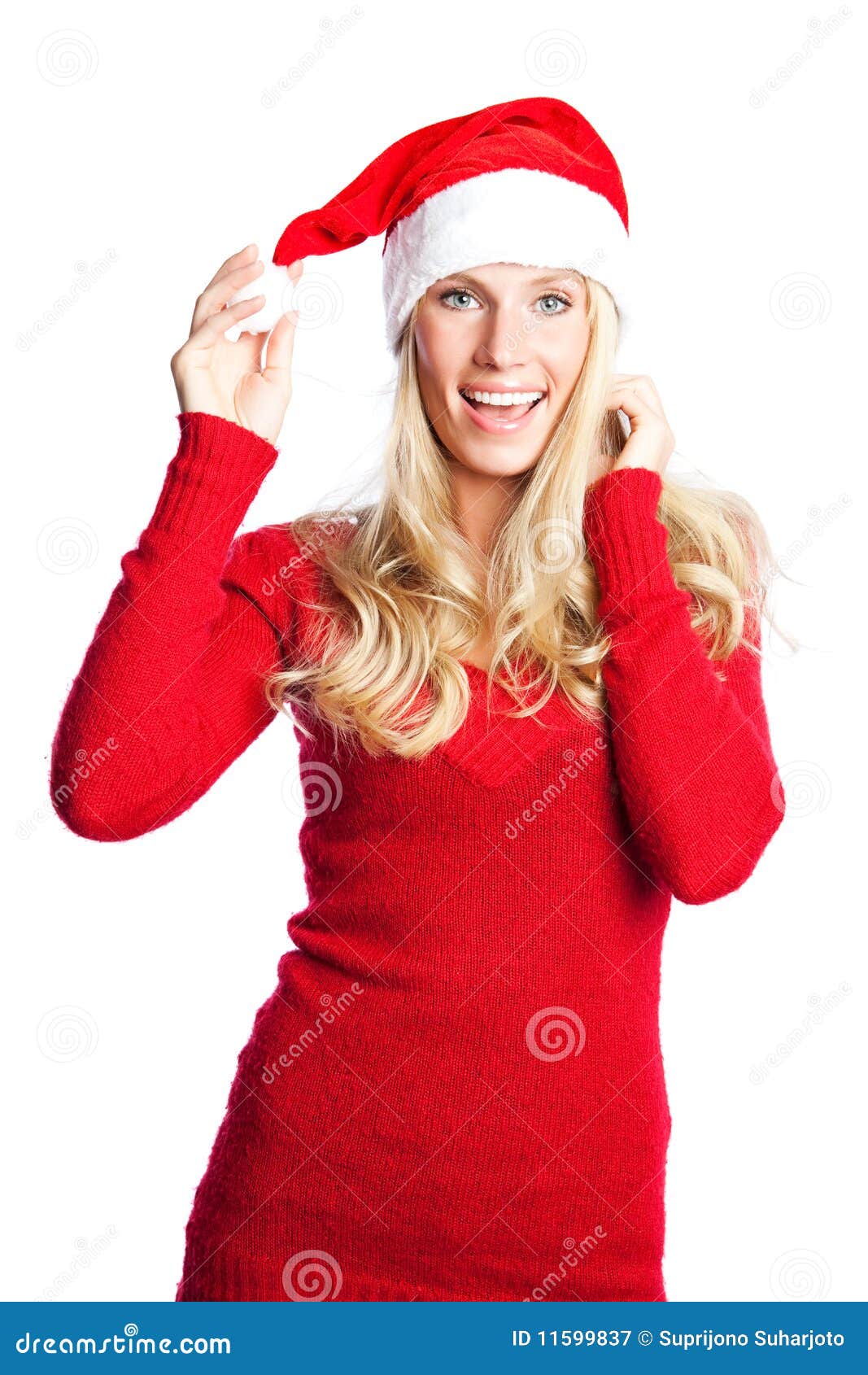 Christmas santa girl stock image. Image of gorgeous, festive - 11599837